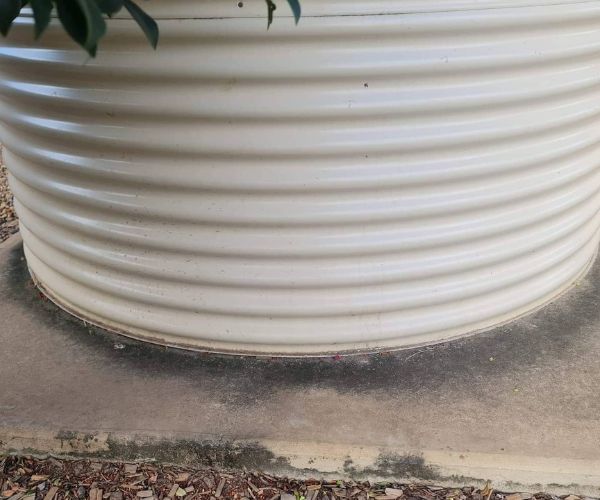 Sanitation Cleaning Mornington Peninsula | Flood, Mould & Mud Pressure ...